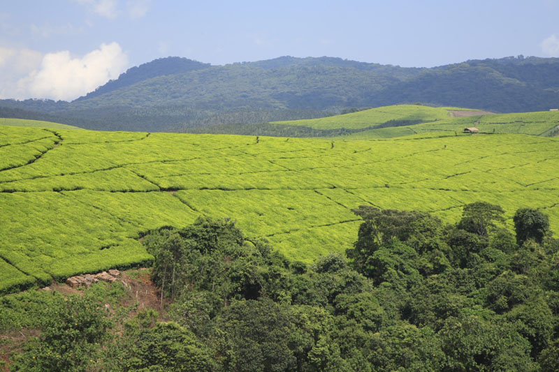 La fête des semailles (Umuganuro) – SUMACO Tours